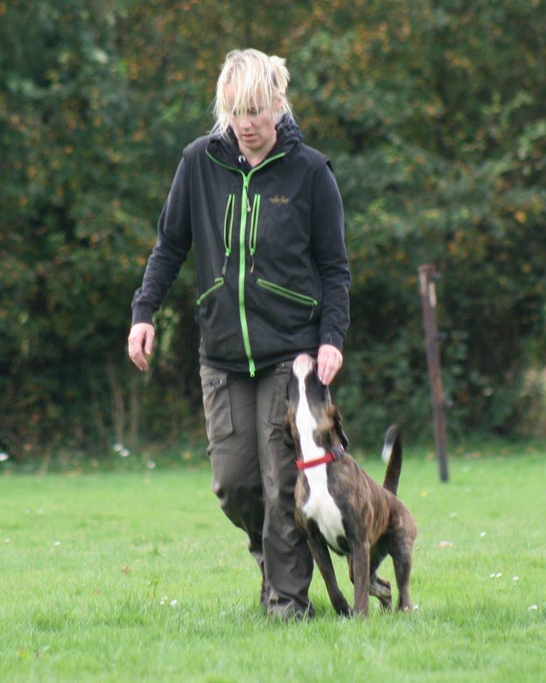 IGP-training - Hondenschool TeamPlay